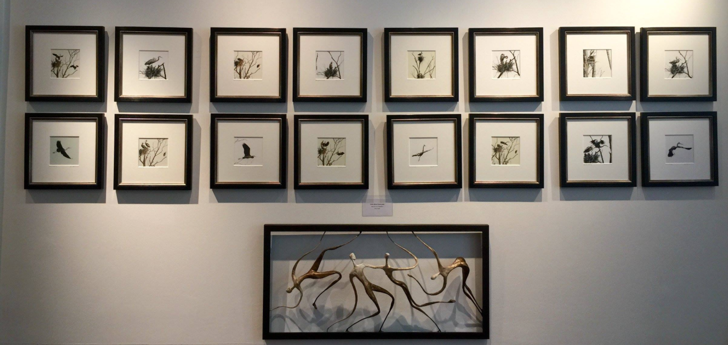 Welcome to Julie Arts